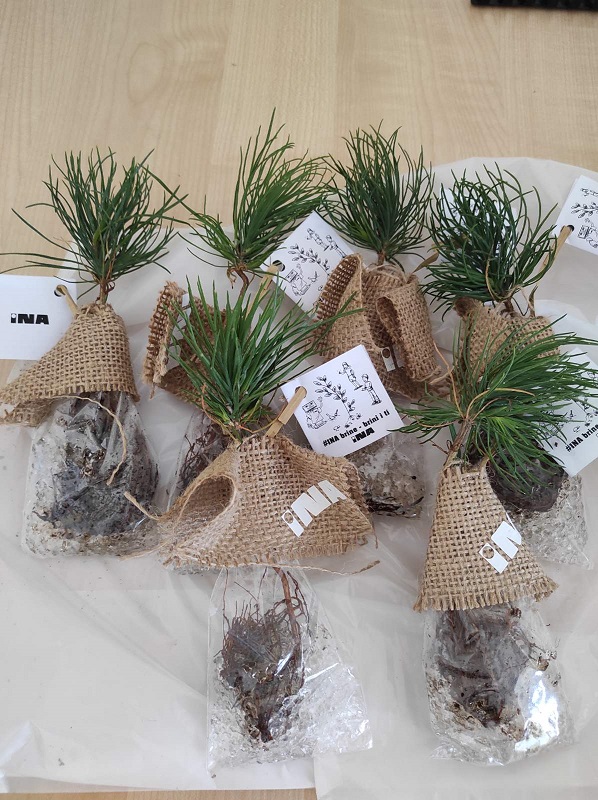 INA darovala OŠ Bakar sadnice crnoga bora i hrasta lužnjaka | Tunera.info