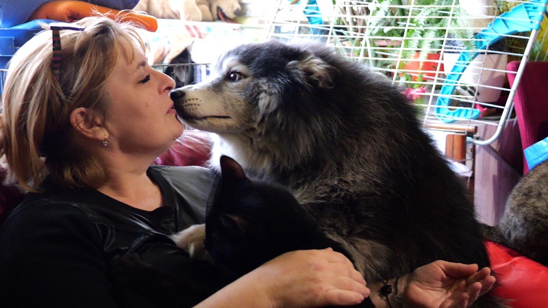 Mirta i Goran iz Jargova snimili dokumentarac o volonterkama iz Kraljevice, Jadranova i Rijeke ...